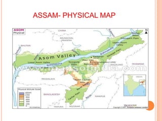 assam.pptx