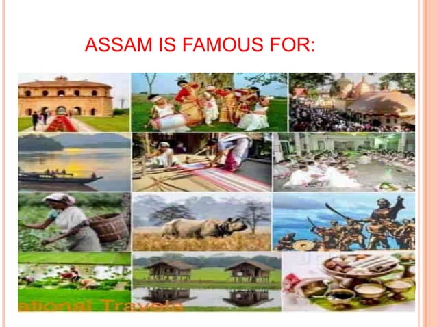 assam.pptx