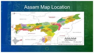 Assam.pptx