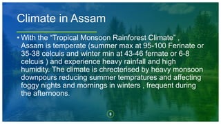 Assam.pptx