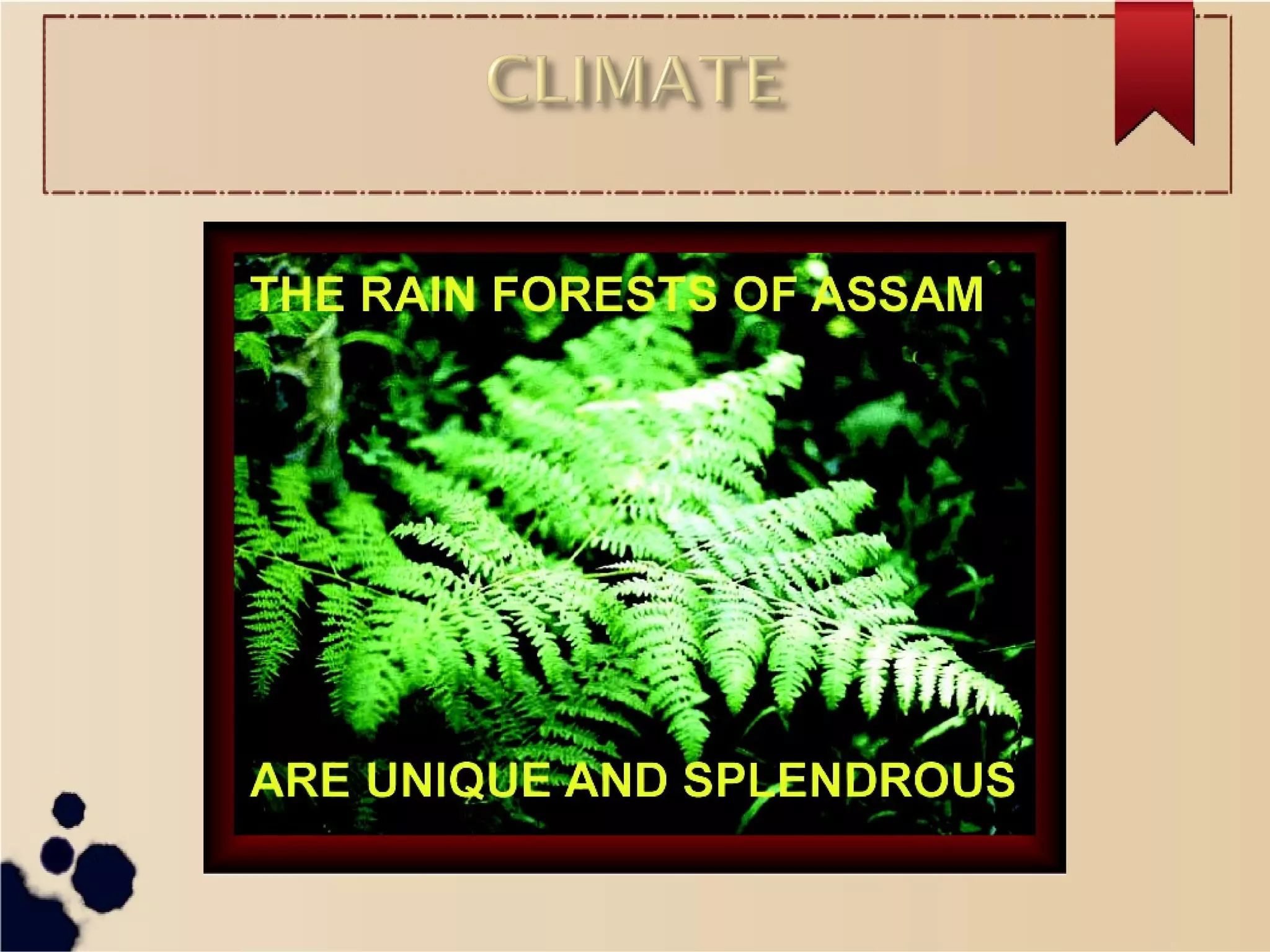 Assam_the beautiful state of north_east India | PDF