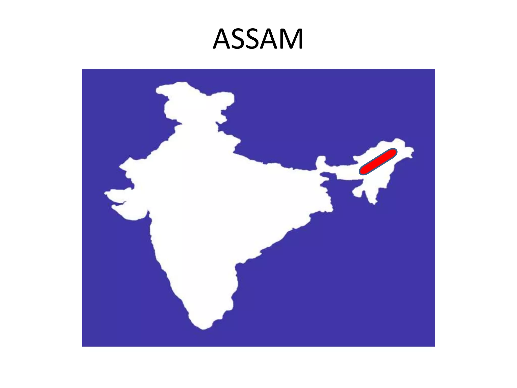 Assam Ancient and Medieval History | PPTX