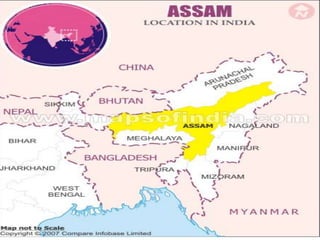 Assam ppt | PPTX