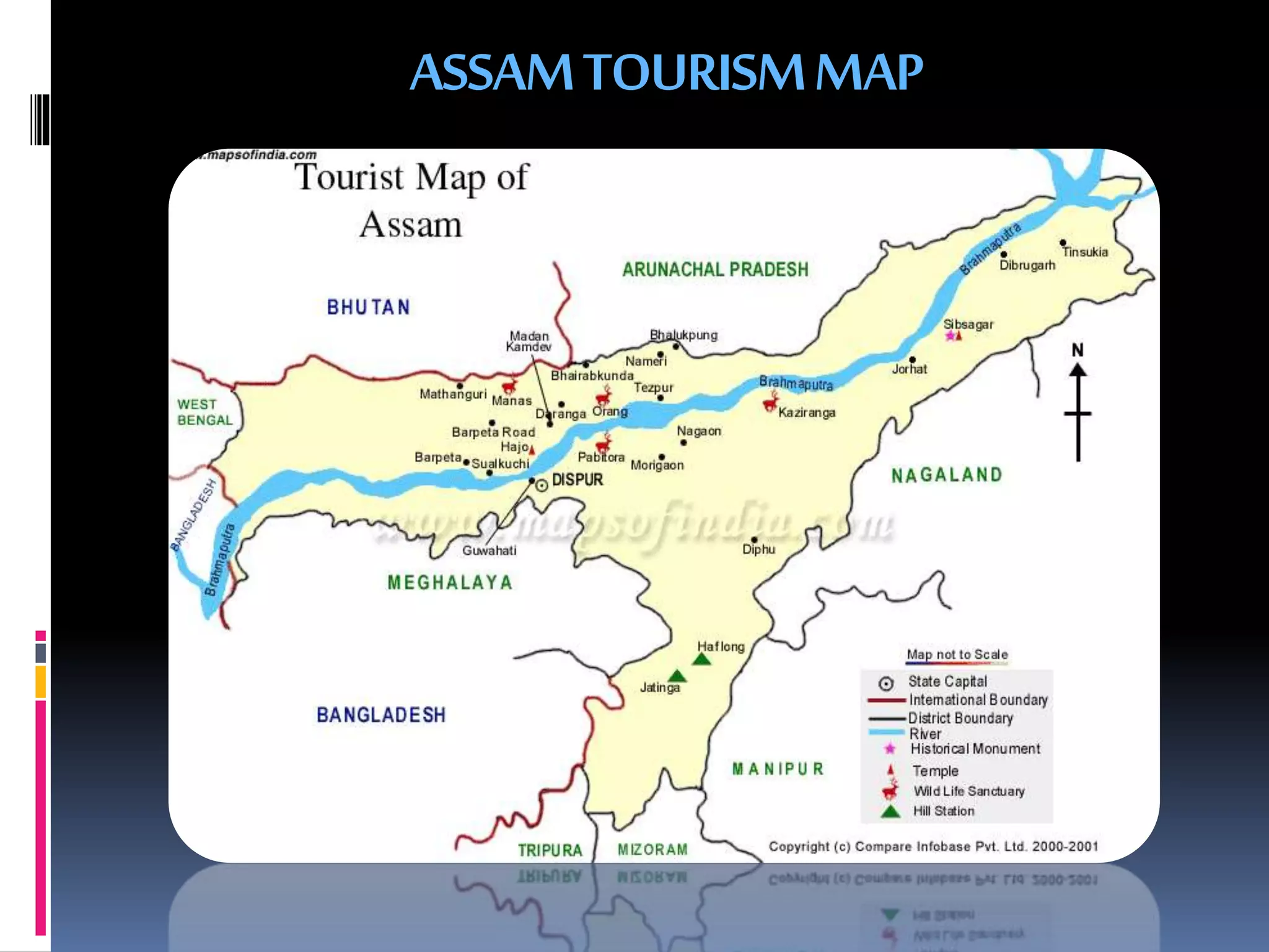 Assam ppt | PPTX