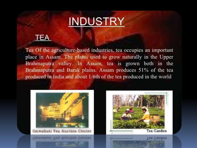 Assam ppt | PPTX