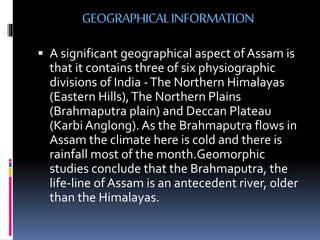 Assam ppt | PPTX