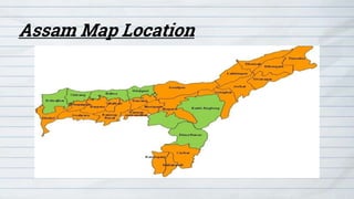 Assam ppt | PPTX