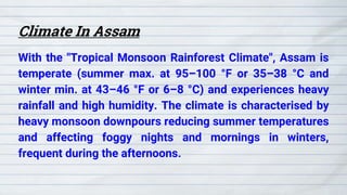 Assam ppt | PPTX