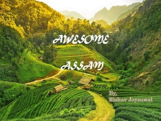 Beauty of ASSAM Slides prepared by Rishav Joysuwal | PPTX