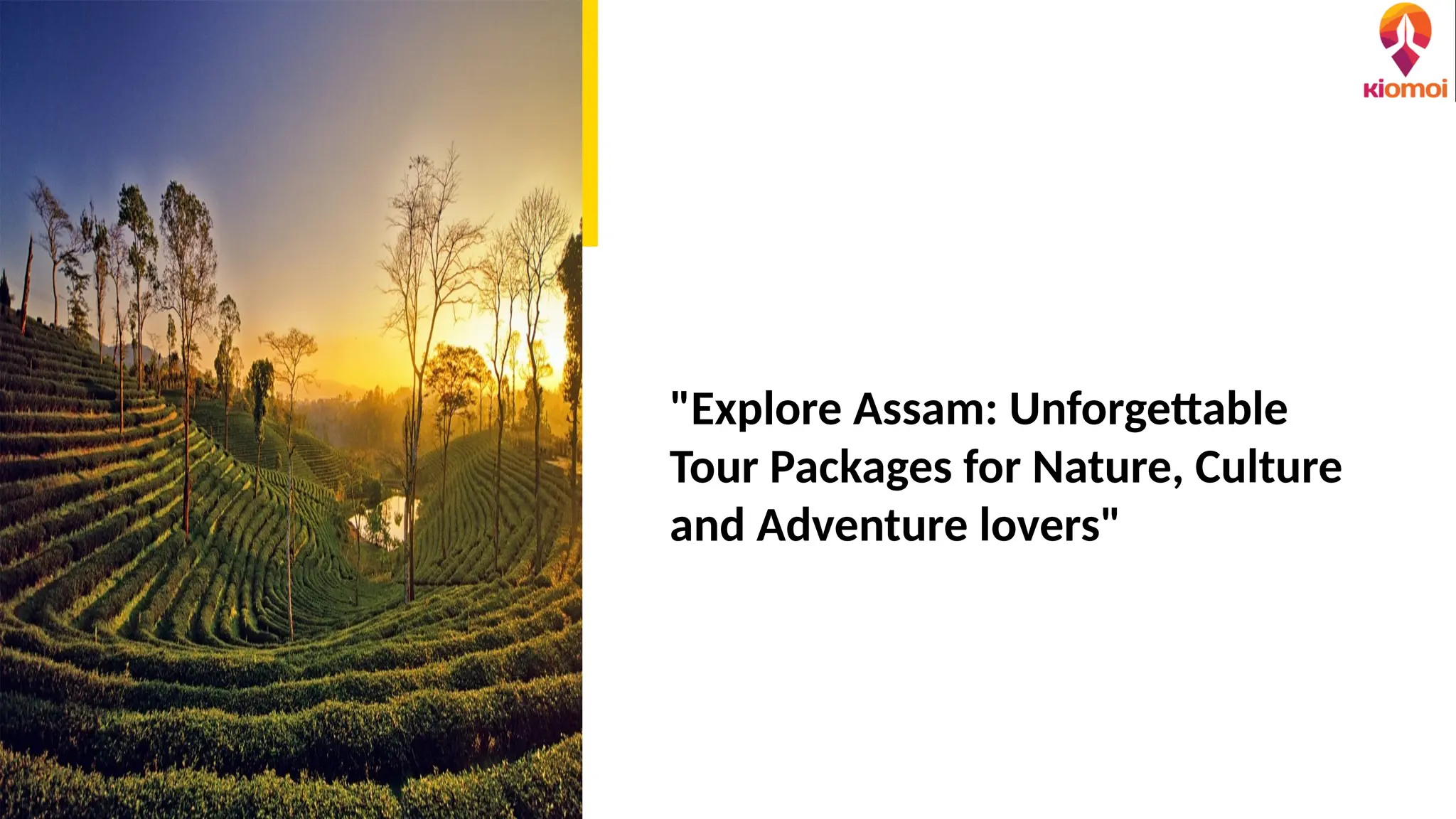 Assam Adventure Awaits: Tailor-Made Tour Packages | PPTX
