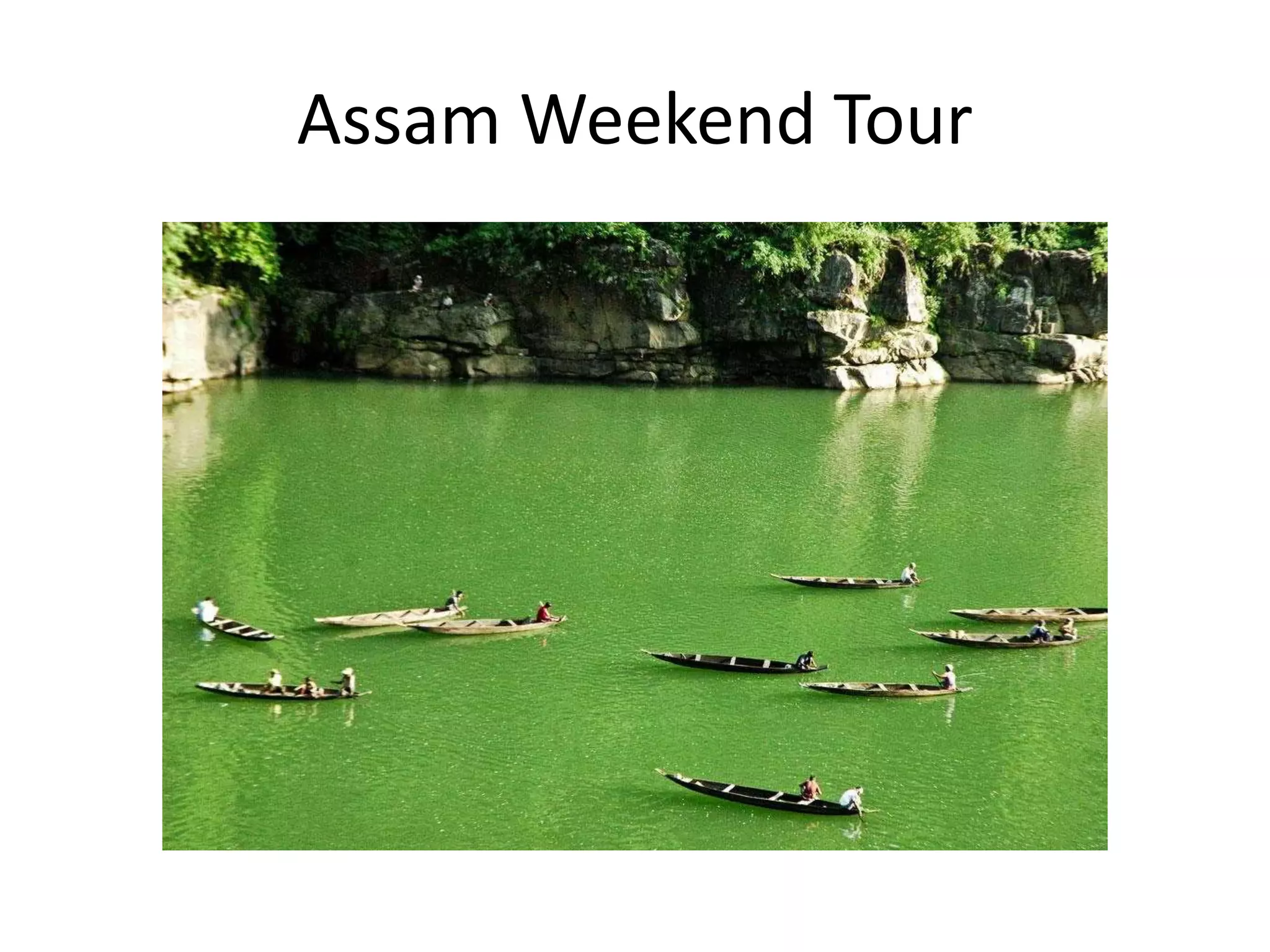 Assam tour packages | PPT