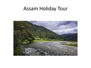 Assam tour packages | PPT