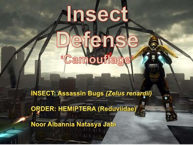 Assasin bug defense