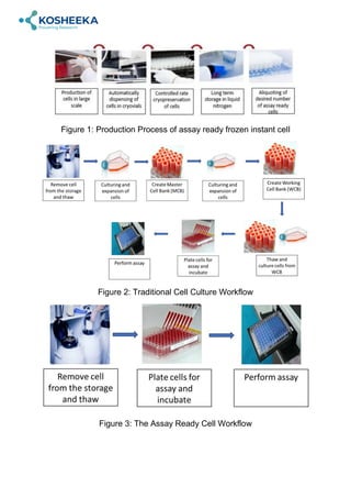 Assay Ready Cells! Always Ready to Perform the Assay | PDF