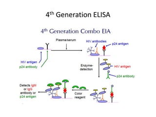ASSAYS FOR HIV DIAGNOSIS.pptx