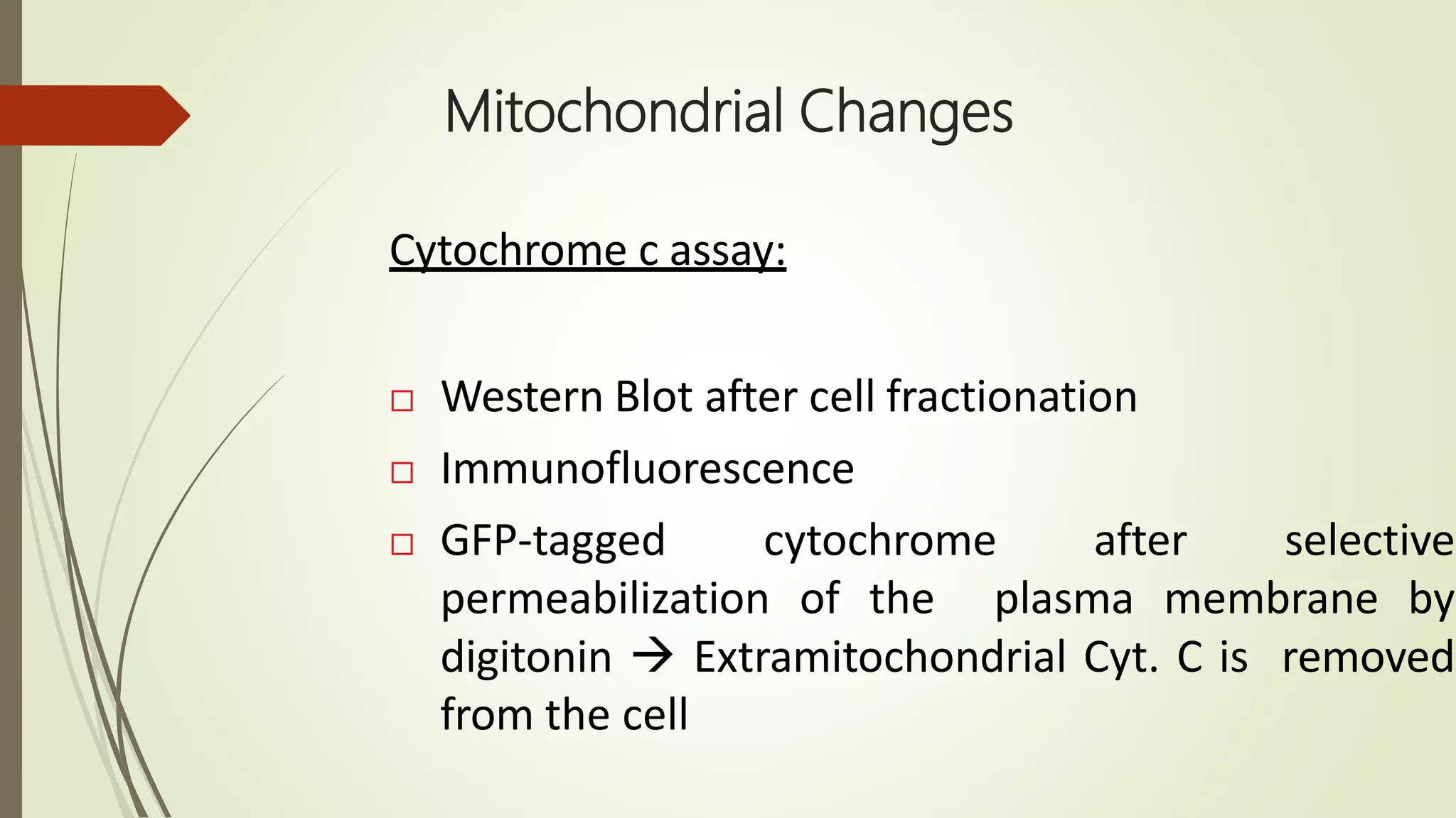 Assays of cell death | PPT