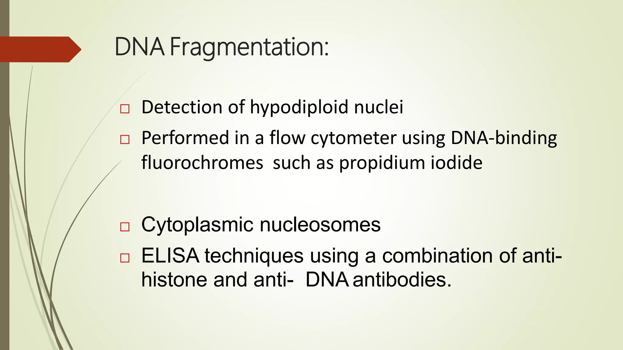 Assays of cell death | PPT