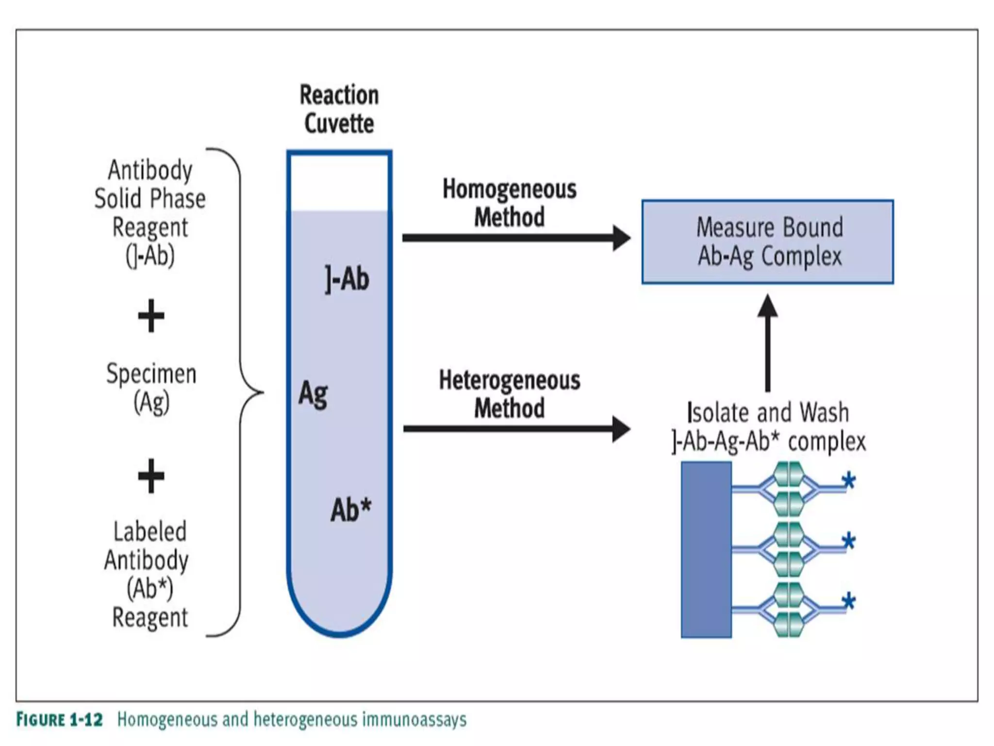 Assays, types of assays, principle and prerequisites of assays and ...