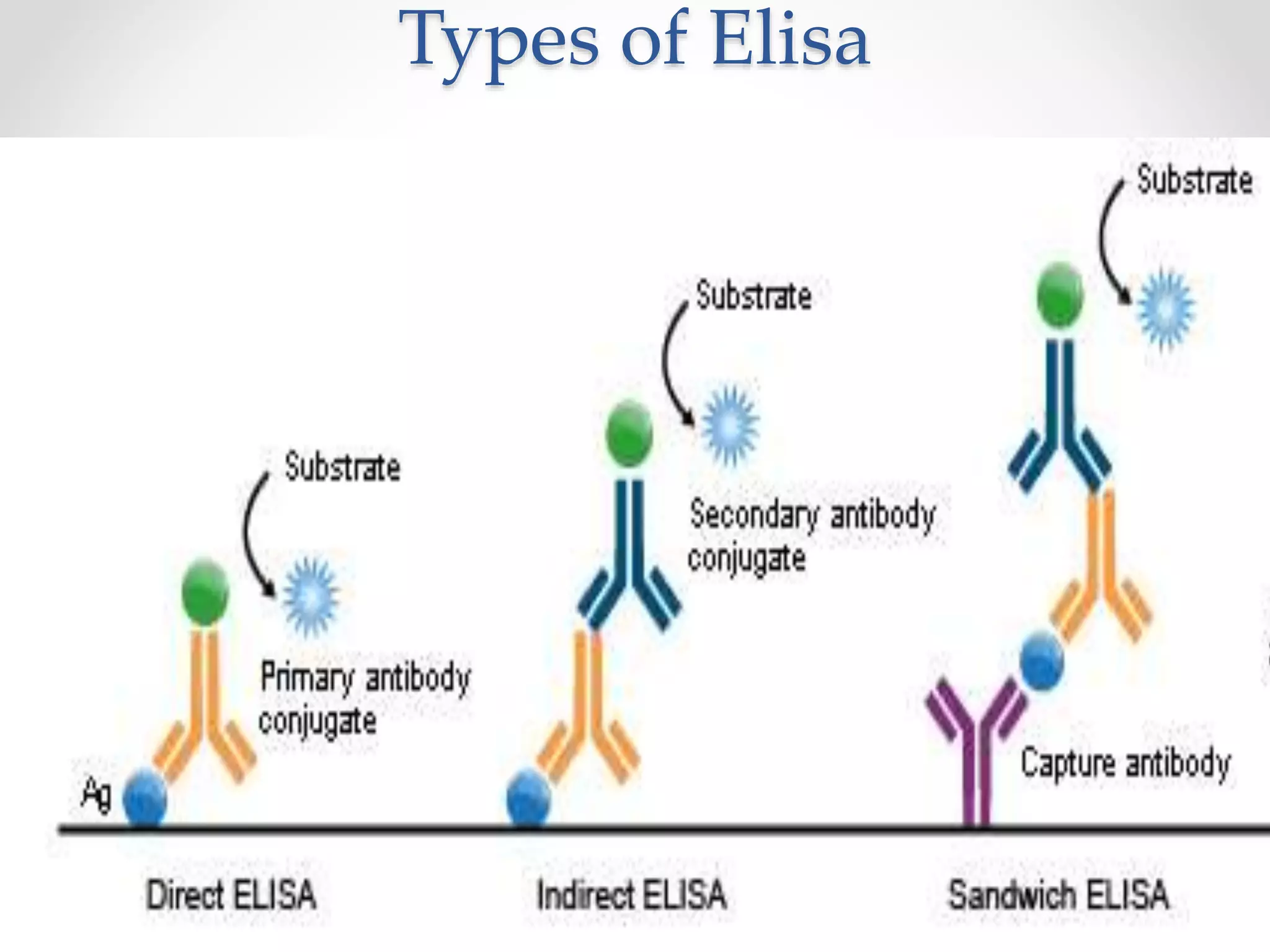 Assays, types of assays, principle and prerequisites of assays and ...