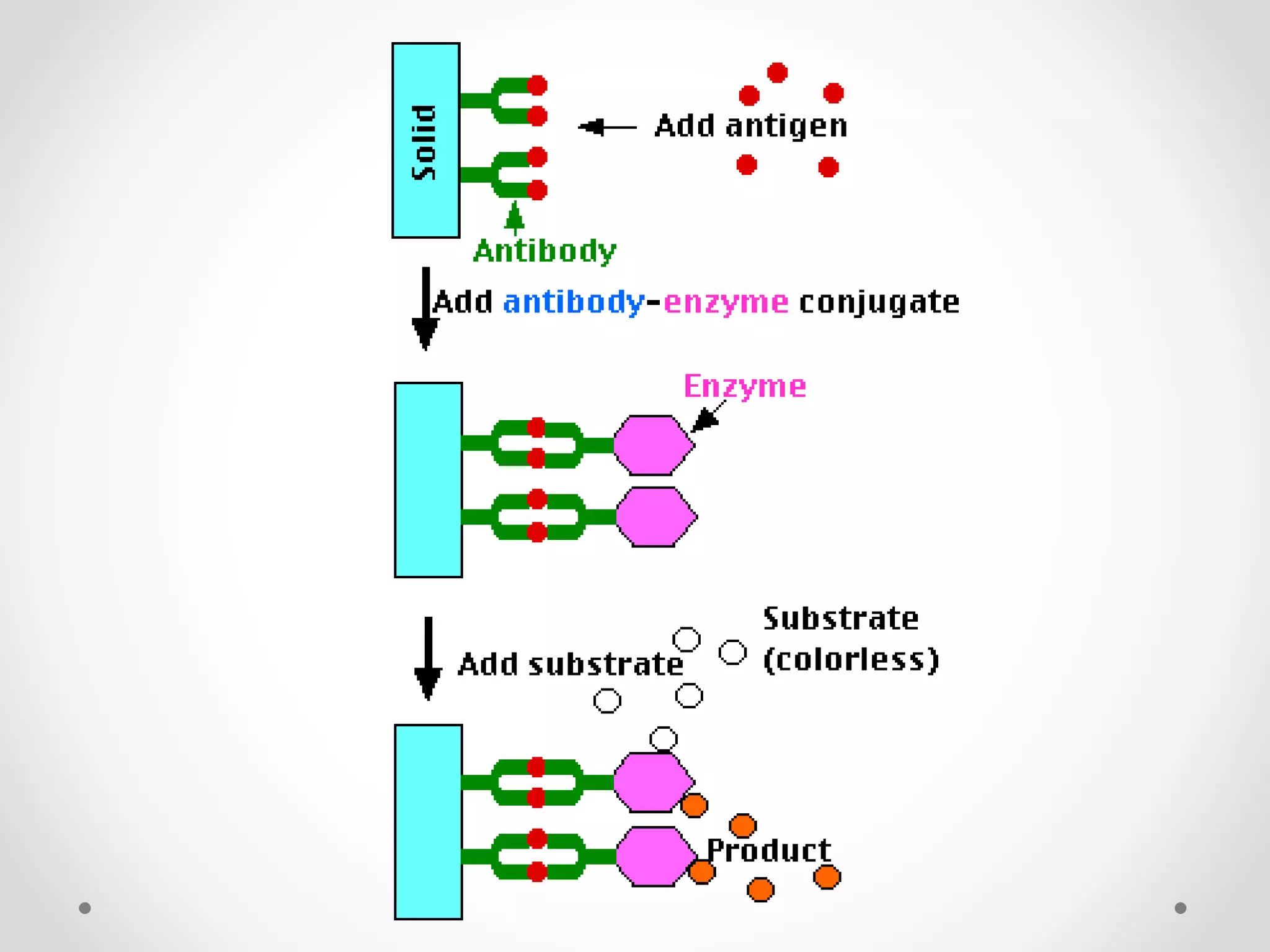 Assays, types of assays, principle and prerequisites of assays and ...