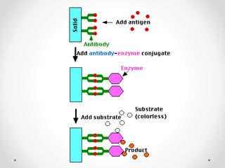 Assays, types of assays, principle and prerequisites of assays and ...