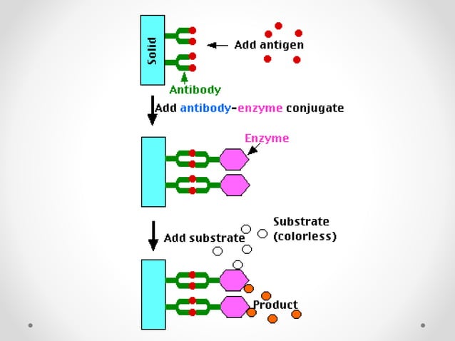 Assays, types of assays, principle and prerequisites of assays and bioassay