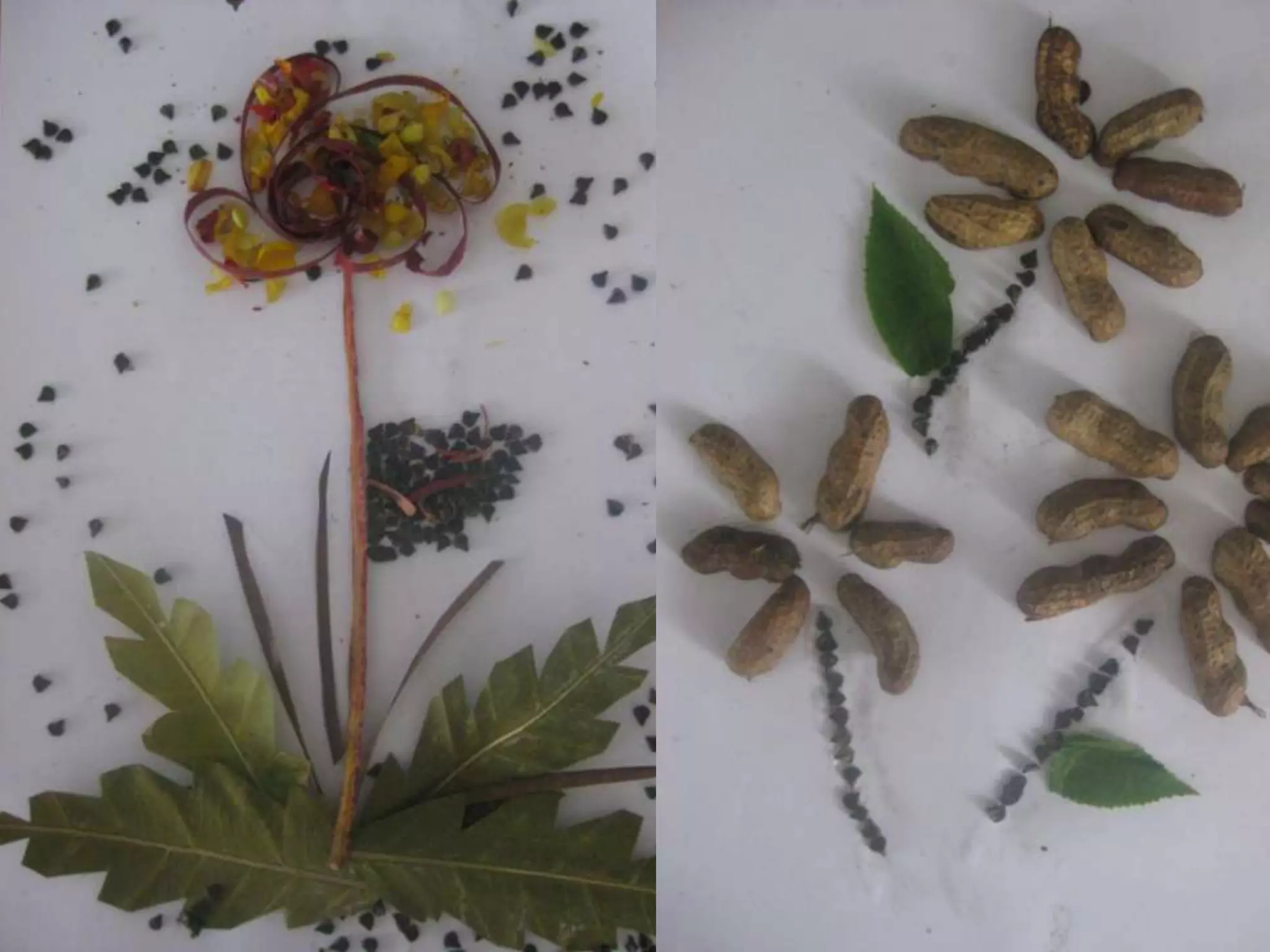 Assemblageand drawingforgrade7 | PPTX | Drawing and Sketching | Arts and Crafts