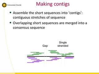 Assembly and gene_prediction | PPT