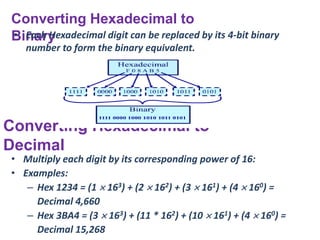 Representation Of Numbers and Characters | PPTX