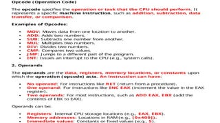 ASSEMBLY LANGUAGE for undergraduate 1.pptx