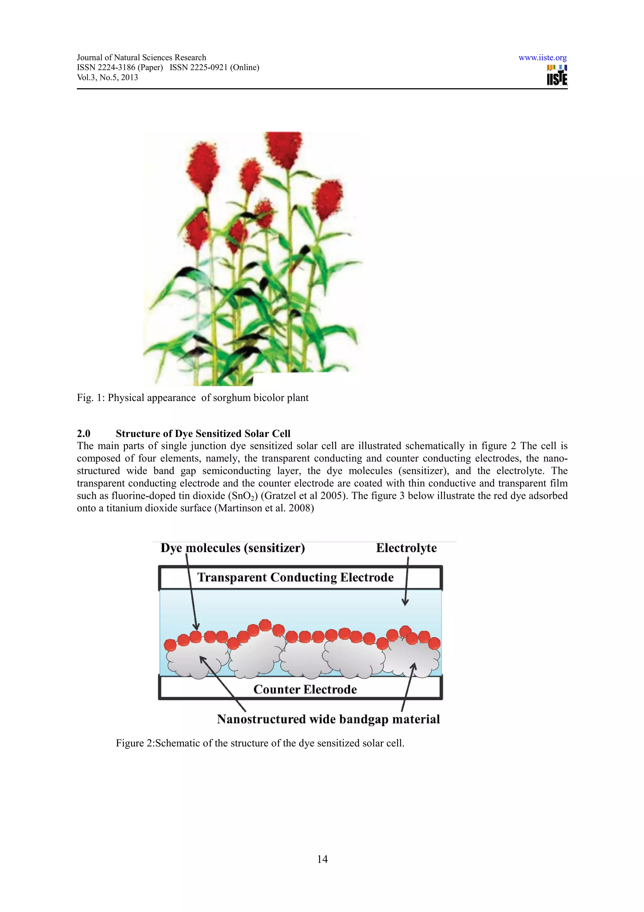 Assembly of dye sensitized solar cell using the stem and grain | PDF