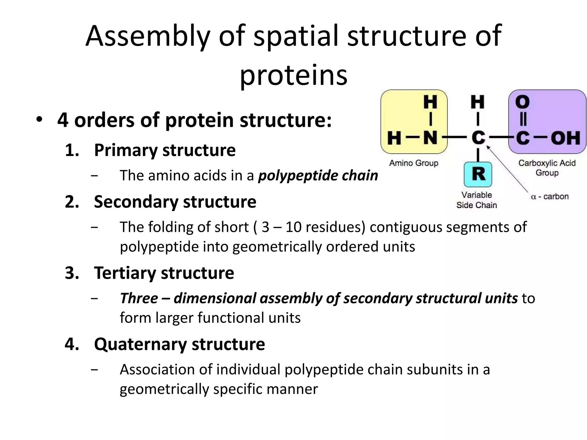 structure of proteins and posttraslational modification of proteins and ...