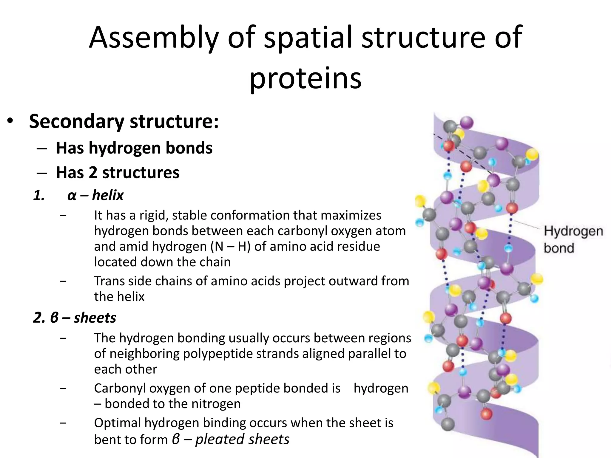 structure of proteins and posttraslational modification of proteins and ...