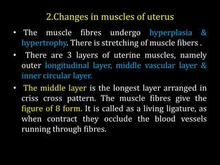 Assements & managements of pregnancy | PPTX