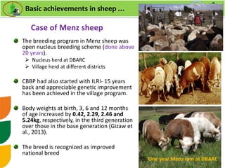 Assemu WaWo final PPT final.pptx | Agriculture | Industries