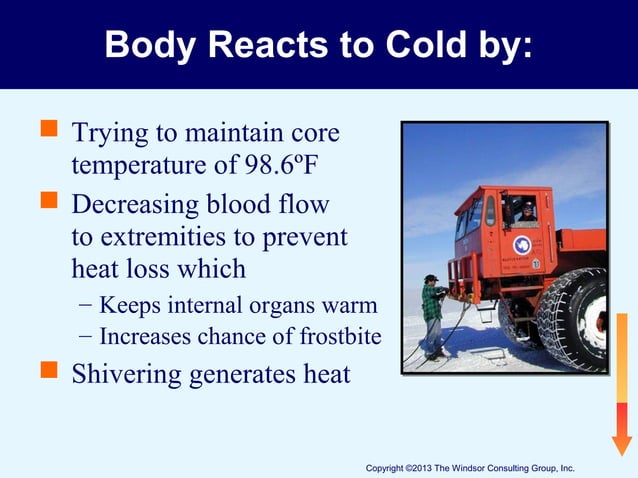Cold Stress Hazards and Prevention | PPT | Endocrine and Metabolic ...