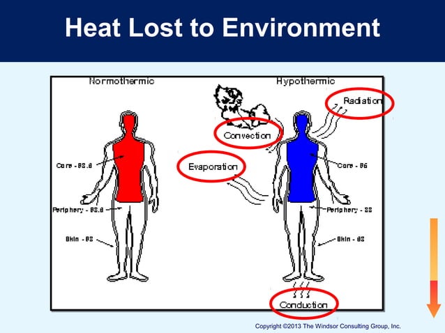 Cold Stress Hazards and Prevention | PPT | Endocrine and Metabolic ...