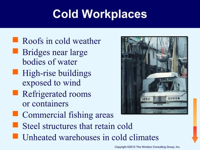 Cold Stress Hazards and Prevention | PPT | Endocrine and Metabolic ...