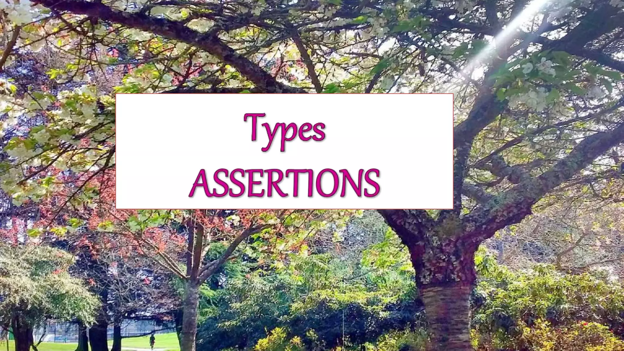 Assertion-FINAL.pptx