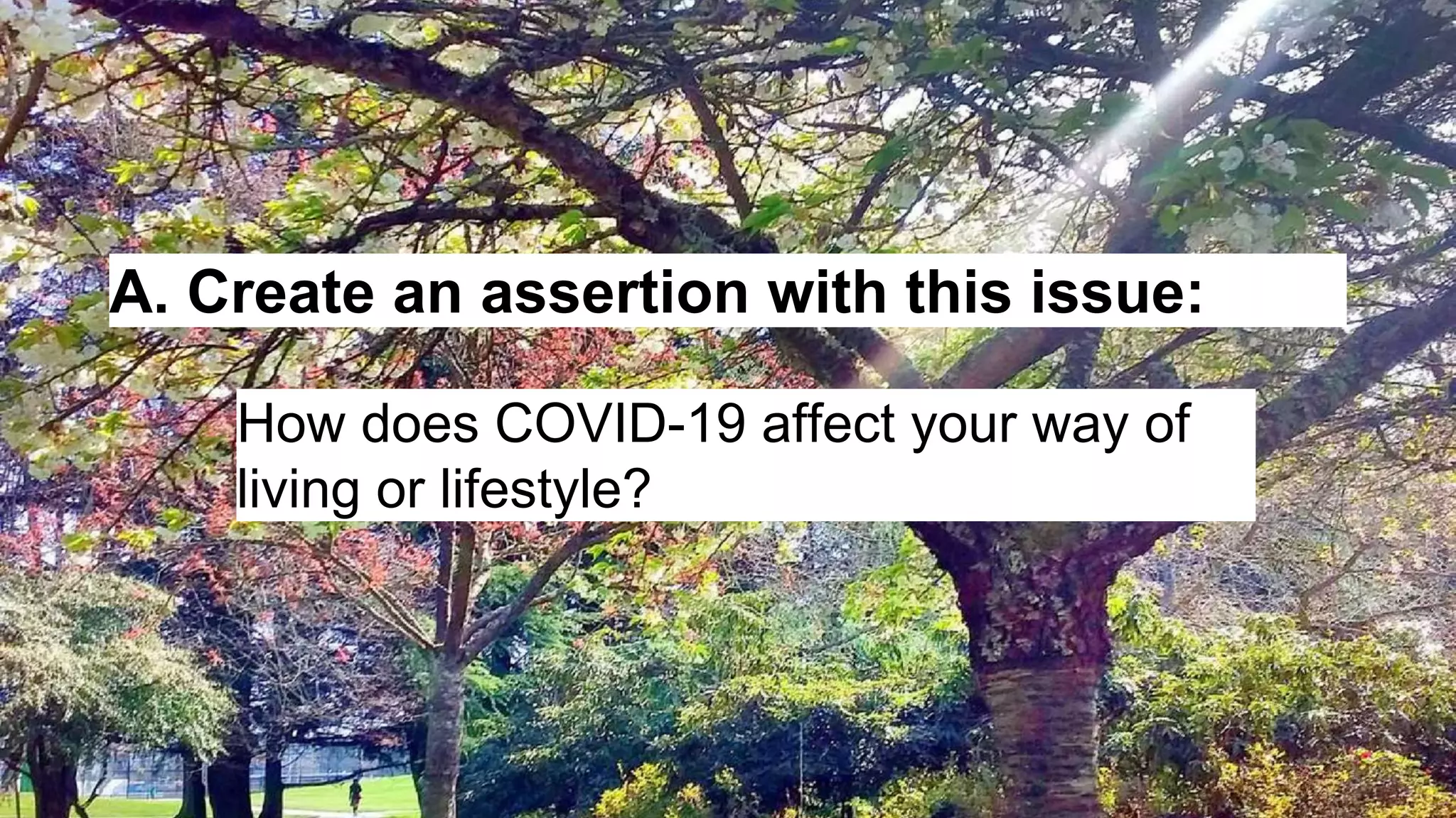 Assertion-FINAL.pptx