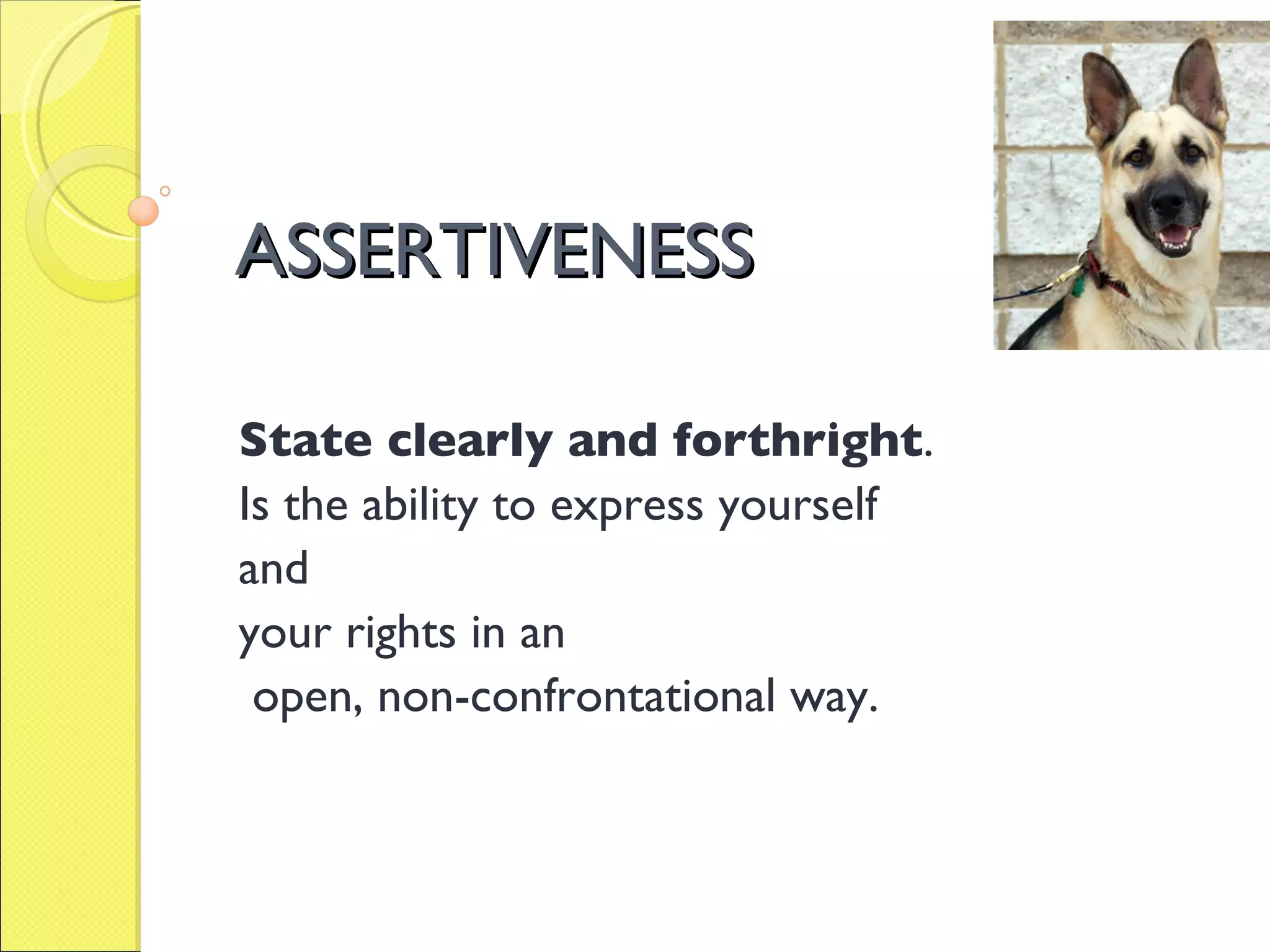 ASSERTIVENESS | PPT | Career Advice | Careers