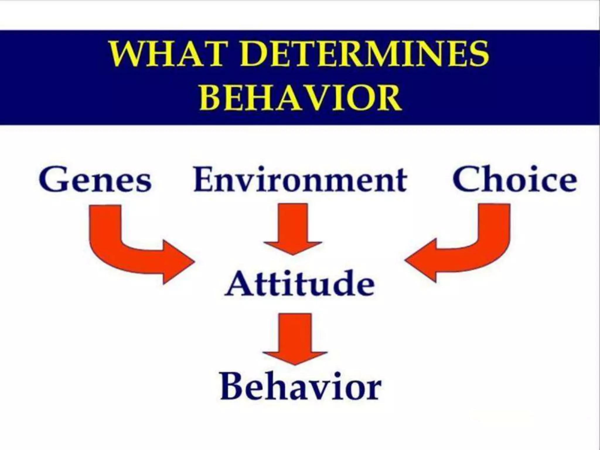 Assertiveness communication | PPTX | Science