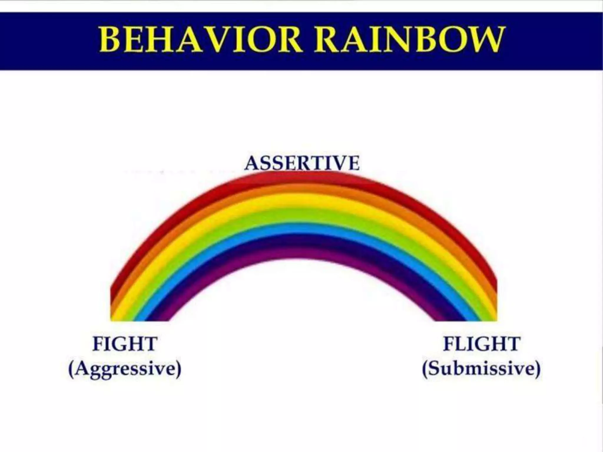 Assertiveness communication | PPTX