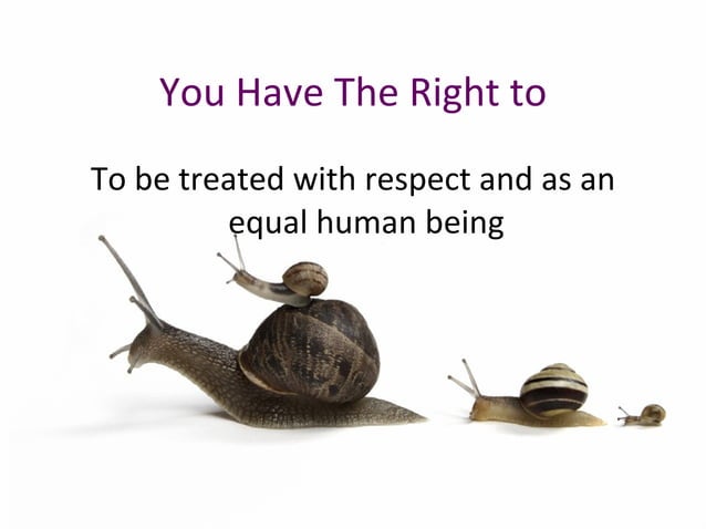 Assertiveness Rights | PPT