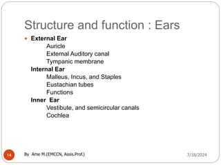 Physical Assessment of the Head, Eyes, Ears, Nose, and Throat | PPT