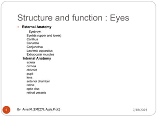 Physical Assessment of the Head, Eyes, Ears, Nose, and Throat | PPT