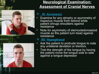 Assesment of neurological system | PPT