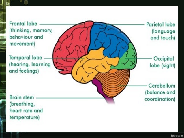 Assesment of neurological system
