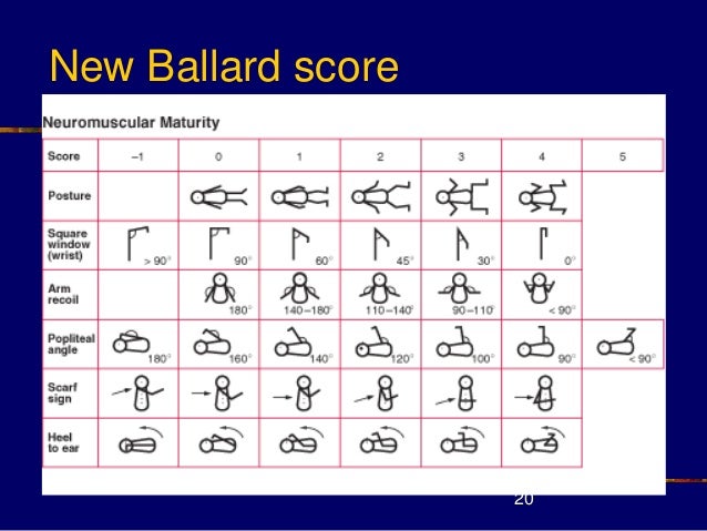 Assesment of the newborn baby kuliah