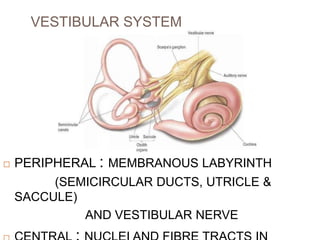 Assesment of vestibular function | PPTX
